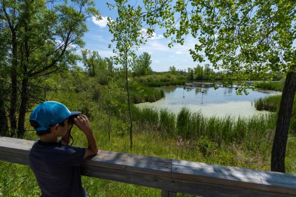 FortWhyte Alive: Hike, Fish, and Play Just Minutes from Downtown ...