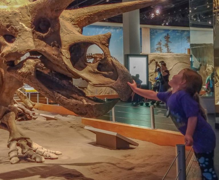 The Royal Tyrrell Museum of Palaeontology in Drumheller, Alberta: Home ...