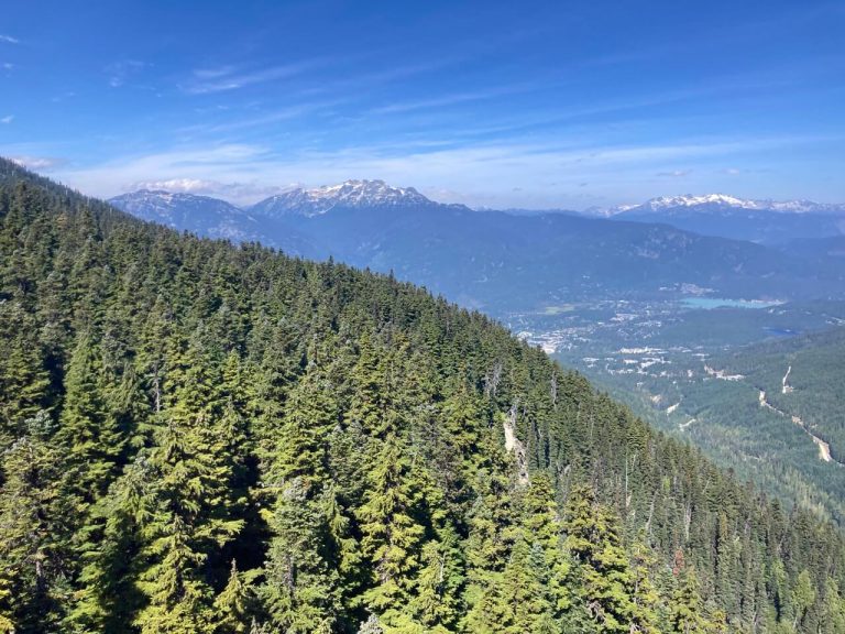 The Ultimate List of Things to Do in Whistler, British Columbia: How to ...