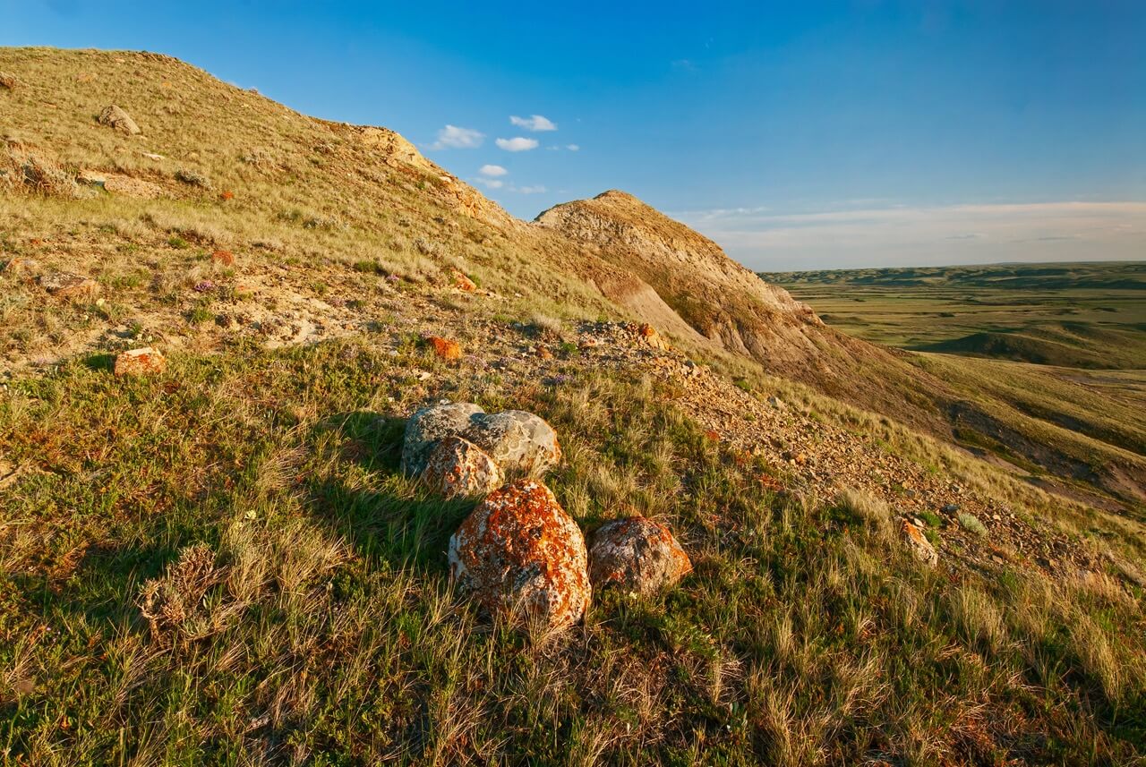 Explore the Wild Prairie in Grasslands National Park, Saskatchewan - We ...