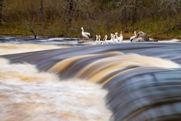 Whiteshell Provincial Park: Manitoba’s Accessible Wilderness Playground ...