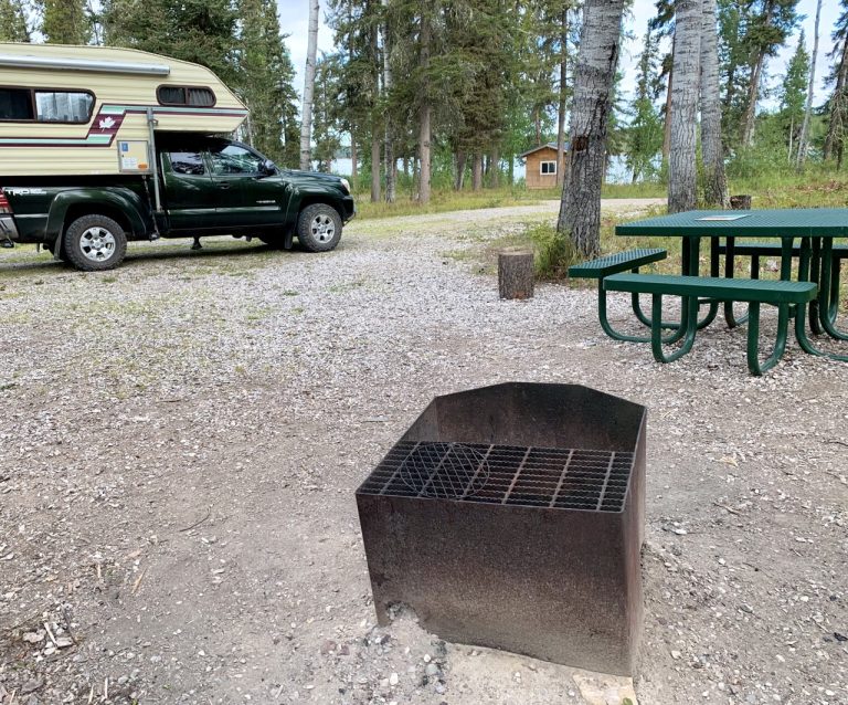 Road Tripping to Wood Buffalo National Park: 10 Things to Know About ...