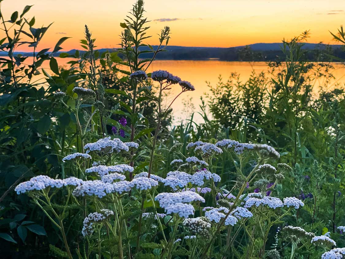 Hidden New Brunswick: Fascinating and Fun New Brunswick Facts To Fuel ...