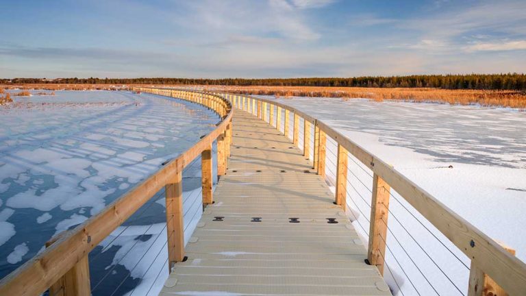 Amazing Prince Edward Island Winter Experiences For A Unique Taste Of ...