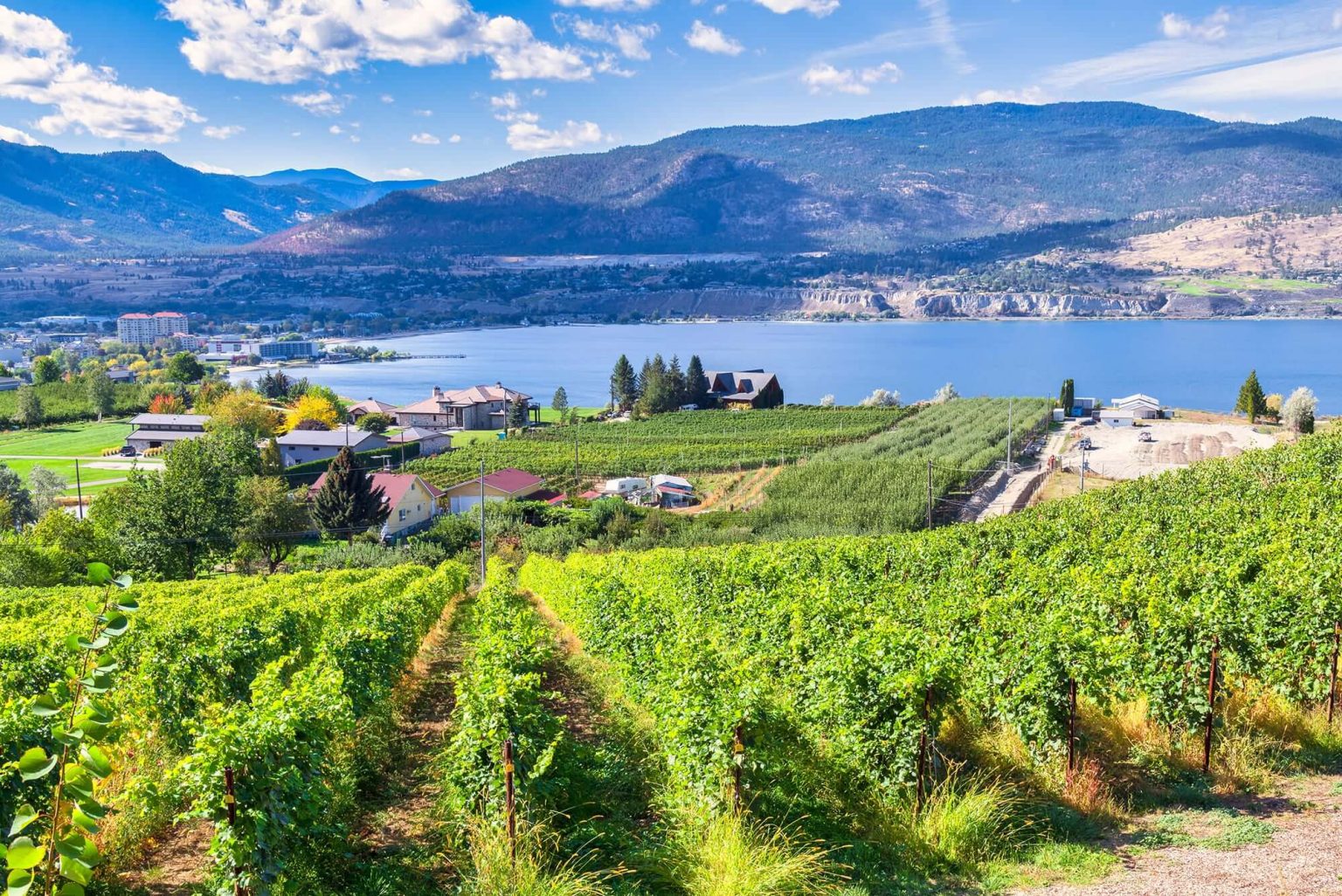 Things to Do in Penticton: Your Guide to Exploring the City Between Two ...